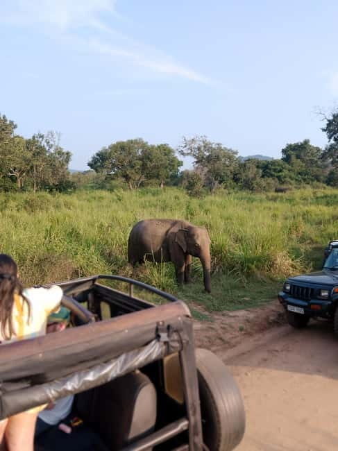 From Kandy: Sigiriya & Dambulla Day Tour with Safari - A Closer Look at the Practical Details