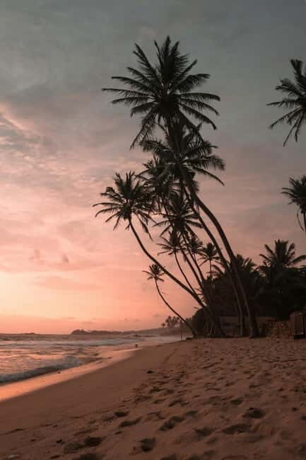 From Kandy: Sigiriya & Dambulla Day Tour with Safari - FAQs