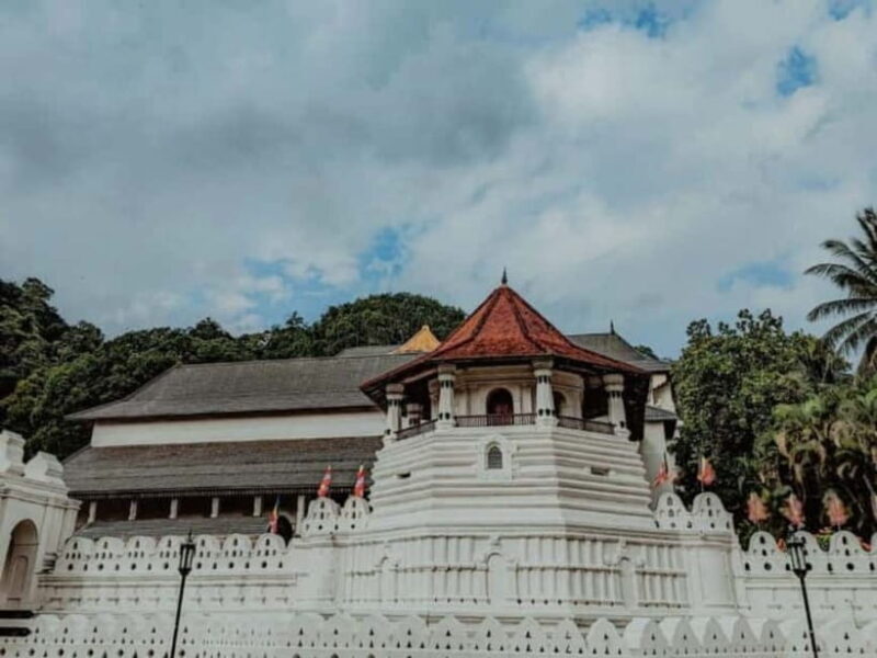 From : Kandy, Sigiriya, Dambulla Guided Day Tours for 2 Days - Transportation and Comfort
