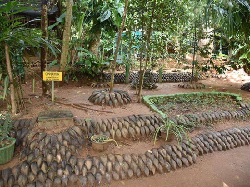 From Kandy: Sigiriya Guided Tuk-Tuk Tour - Key Points