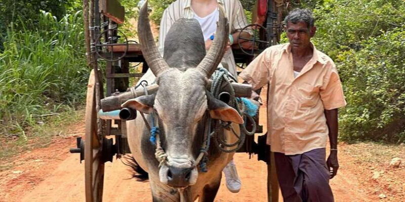 From Kandy: Sigiriya Rock and Village Safari Day Trip - The Sum Up