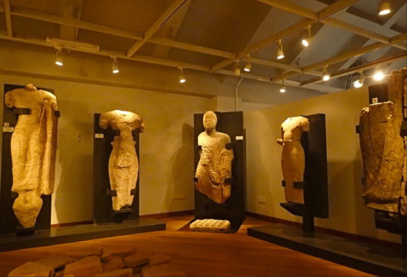 From Kandy: Sigiriya Rock Fortress and Wildlife Safari - About the Cost and Value