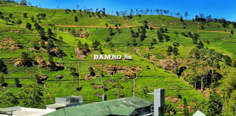 From Kandy: Tea Factory Tour with Ramboda Waterfall Visit - Key Points