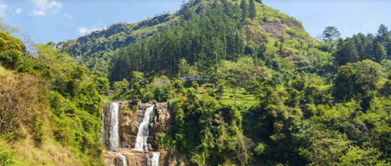 From Kandy: Tea Factory Tour with Ramboda Waterfall Visit - The Experience: What You Can Expect in Detail