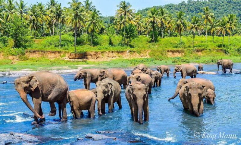 From Kandy To Pinnawala Private Day Tour via Ambuluwawa - An Overview of the Itinerary: More Than Just Sightseeing