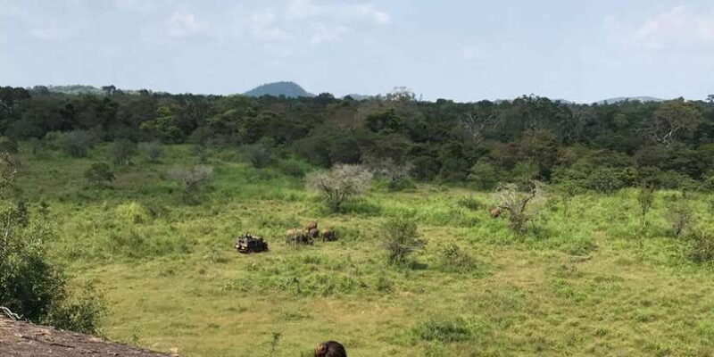 From Kandy to Sigiriya Day Tuk Tuk Trip - Key Points