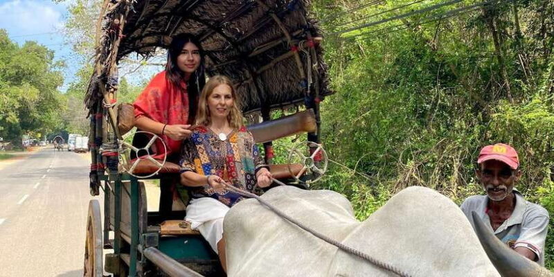 From Kandy to Sigiriya Day Tuk Tuk Trip - Final Thoughts: Who Is This Tour Best For?