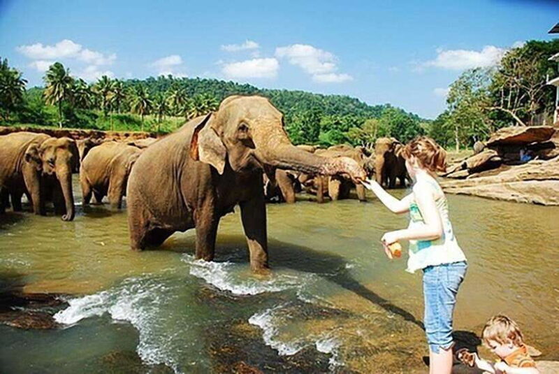 From Kandy to Sigiriya, Pinnawala Day Return Tour By Car - Sigiriya: A UNESCO Wonder with Stunning Views