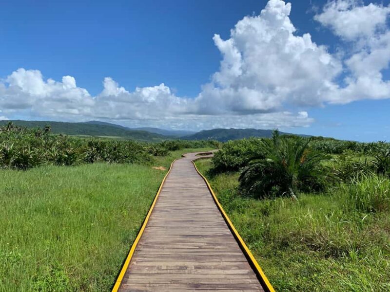 From Kaohsiung: Kenting & Ocean Coast Private Day Tour - Key Points