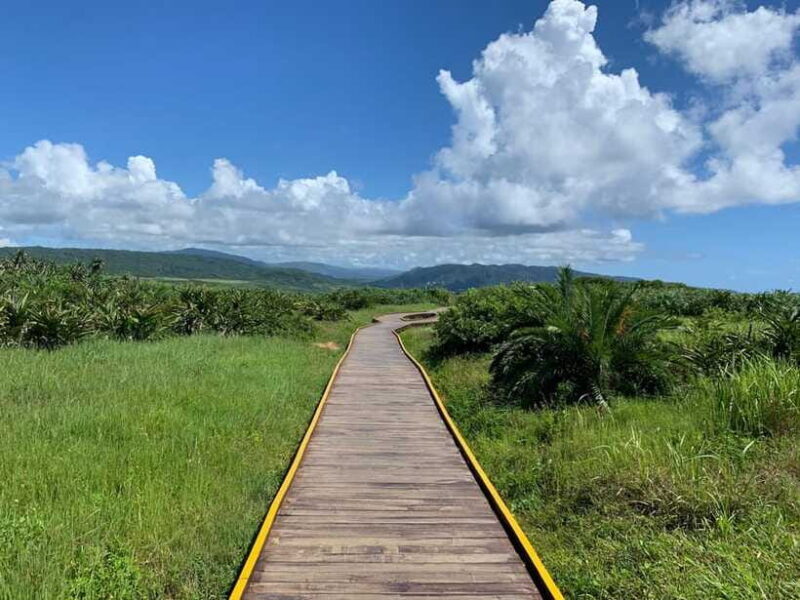 From Kaohsiung: Kenting & Ocean Coast Private Day Tour - The Practical Side: Transportation, Timing, and Group Size