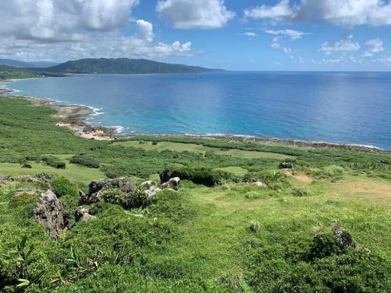 From Kaohsiung: Kenting & Ocean Coast Private Day Tour - Final Thoughts on Value and Experience