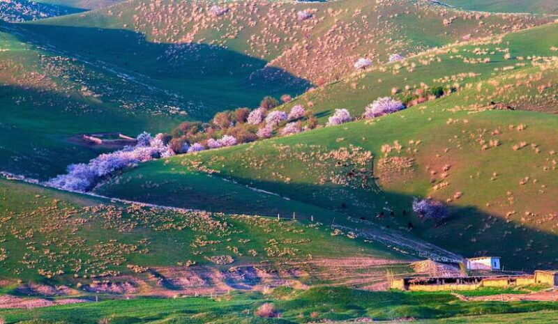 From Kashgar: 5-Day Silk Road Adventure with Accommodation - Key Points