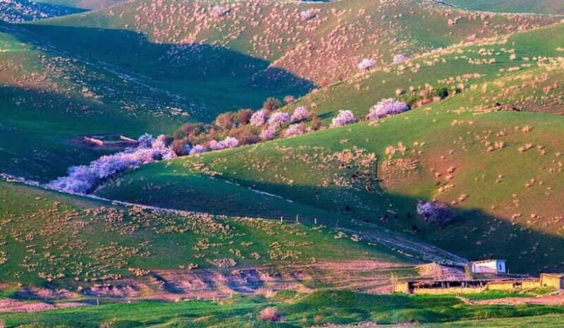 From Kashgar: 5-Day Silk Road Adventure with Accommodation - FAQ