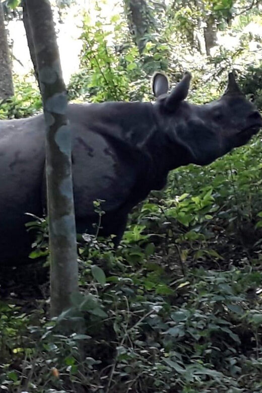 From Kathmaandu: 3 Day 2 Night Chitwan National Park Tour - Making the Most of Your Chitwan Trip