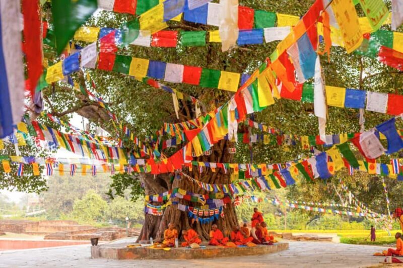 From Kathmandu: 1-Day Lumbini Tour by Airplane - Overview of the Experience