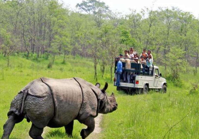 From Kathmandu: 1 Night 2-Day Chitwan Jungle Tour - An In-Depth Look at the Chitwan Jungle Experience