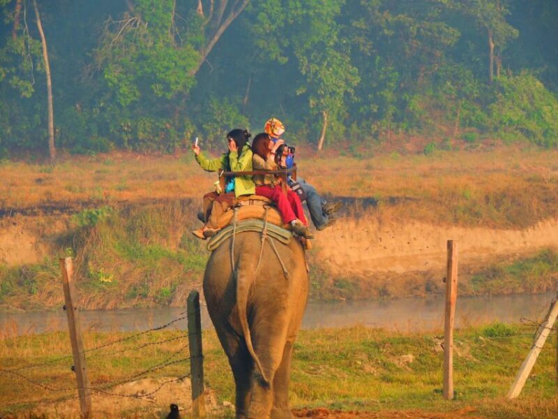 From Kathmandu: 3-Day Chitwan National Park & Elephants Tour - Evaluating Value and Practicality