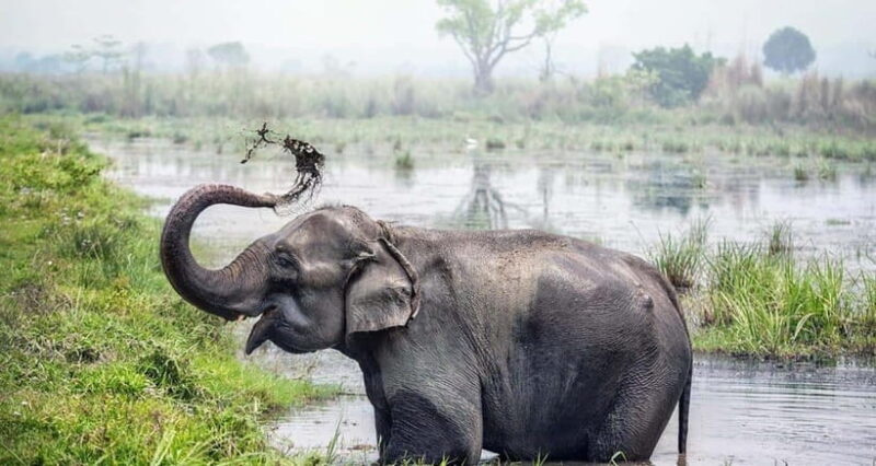 From Kathmandu: 4-Day Chitwan National Park Tour - Exploring the 4-Day Chitwan Experience