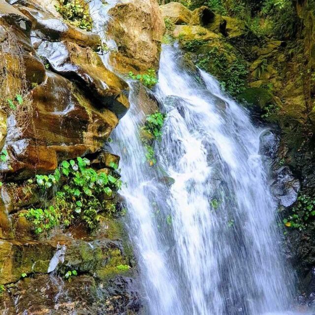 From Kathmandu: 5-Day Chisapani to Nagarkot Trek - FAQ – Practical Questions Answered