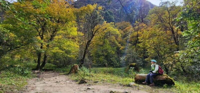 From Kathmandu: 5 Night 6 day Langtang valley trek - The Sum Up