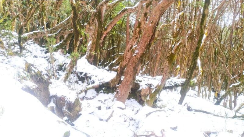 From Kathmandu: 6 Day Mardi Himal Base Camp Guided Trek - The Sum Up