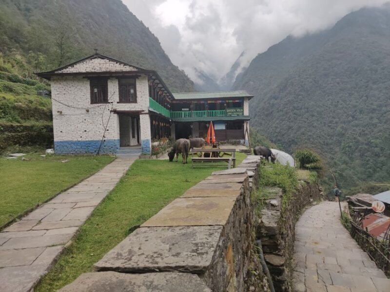 From Kathmandu: 7-Day Annapurna Basecamp Trek - A Practical Overview of Your Himalayan Adventure