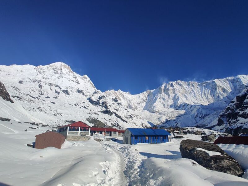 From Kathmandu: 7-Day Annapurna Basecamp Trek - Authentic Experiences and Traveler Feedback