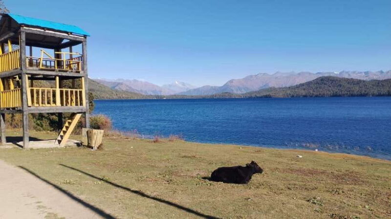 From Kathmandu: 7-Day Jeep Tour to Rara Lake. - Who is This Tour Best For?