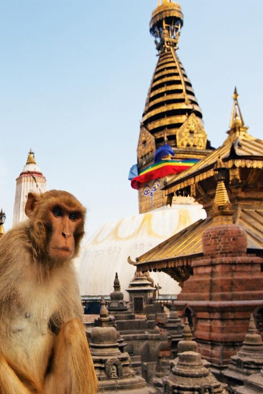 From Kathmandu: Iconic Chandragiri Hill & Monkey Temple Tour - Authentic Experience & Traveler Feedback