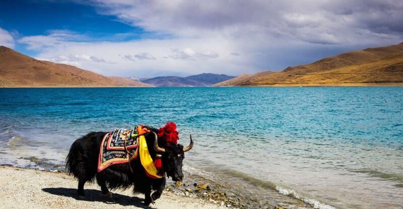 From Kathmandu: Multi-Day Tibet Highlights Trip - A Tour That Navigates Culture and Landscape