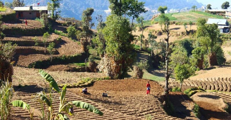 From Kathmandu: Nagarkot Sunrise and Changu Narayan Temple - Visiting Changu Narayan Temple