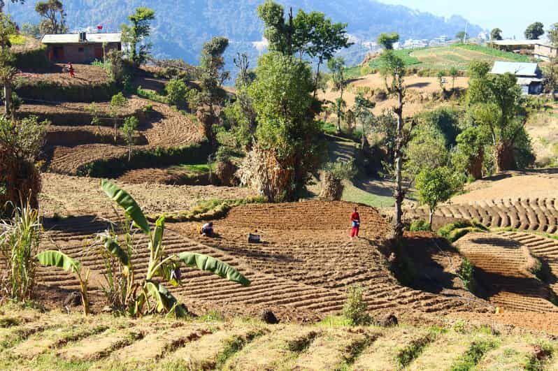 From Kathmandu: Nagarkot Sunrise and Changu Narayan Temple - The Sum Up