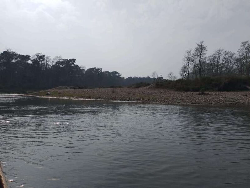 From Kathmandu or Pokhara: 4-Day Chitwan National Park Tour - Who is this tour best suited for?