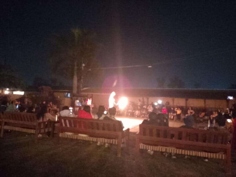 From Kathmandu or Pokhara: 4-Day Chitwan National Park Tour - The Sum Up