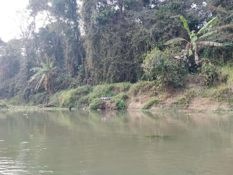 From Kathmandu or Pokhara: 4-Day Chitwan National Park Tour - Final Thoughts