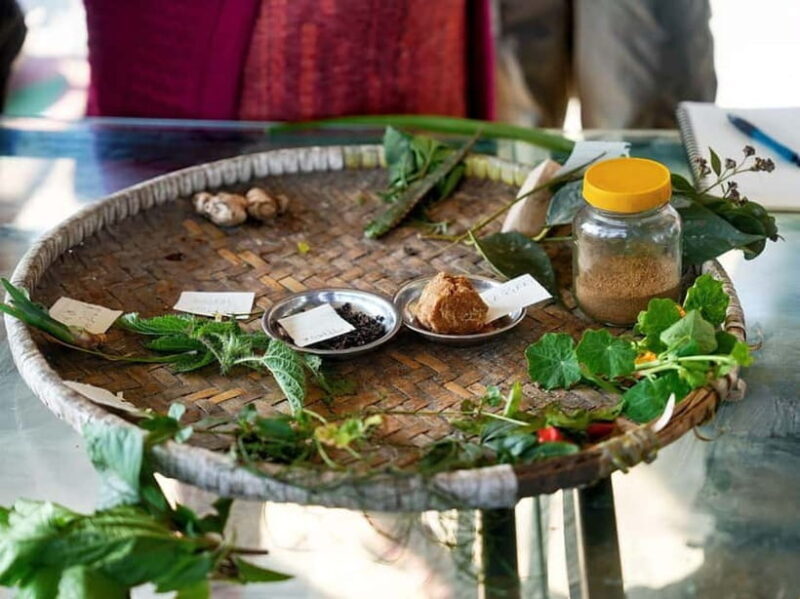 From Kathmandu: Patlekhet Permaculture Organic Farm Tour - From Kathmandu: Patlekhet Permaculture Organic Farm Tour Review