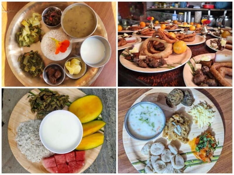 From Kathmandu: Patlekhet Permaculture Organic Farm Tour - Key Points