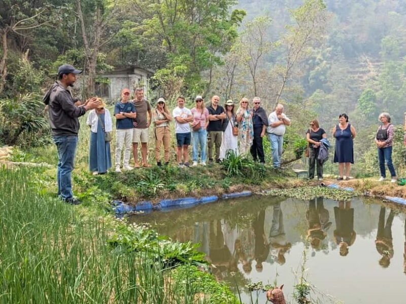 From Kathmandu: Patlekhet Permaculture Organic Farm Tour - Detailed Breakdown of the Experience