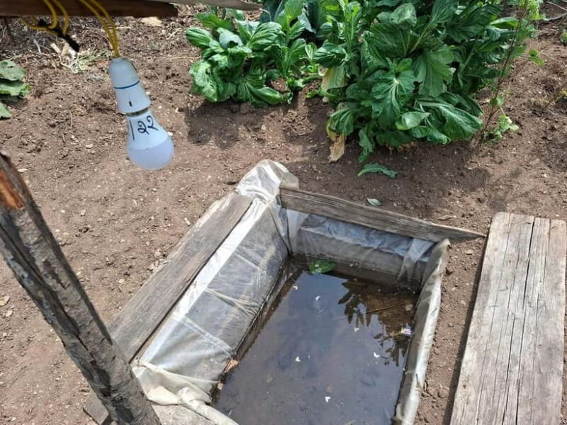 From Kathmandu: Patlekhet Permaculture Organic Farm Tour - Practical Details and Why They Matter