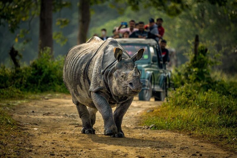 From Kathmandu/Pokhara: 3 Day All-Inclusive Chitwan Safari - Deep Dive into the Itinerary: What You Can Expect Each Day