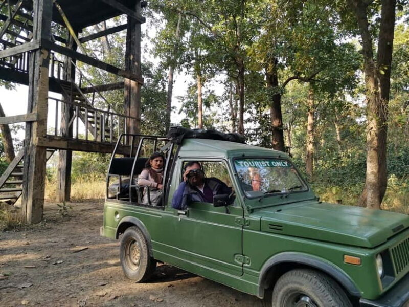 From Kathmandu/Pokhara: Bardiya National Park 4-Day Tour - Key Points