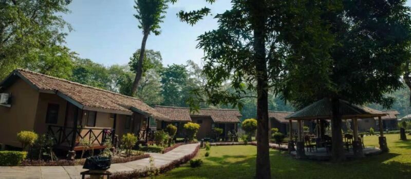 From Kathmandu/Pokhara: Private 3-Day Chitwan Safari Tour - FAQ