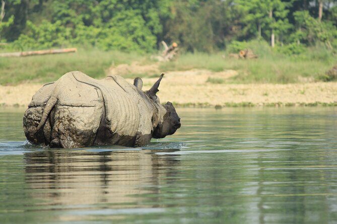 From Kathmandu: Private 3-Day Chitwan Safari Tour - Day 2: Wildlife Encounters in Chitwan National Park