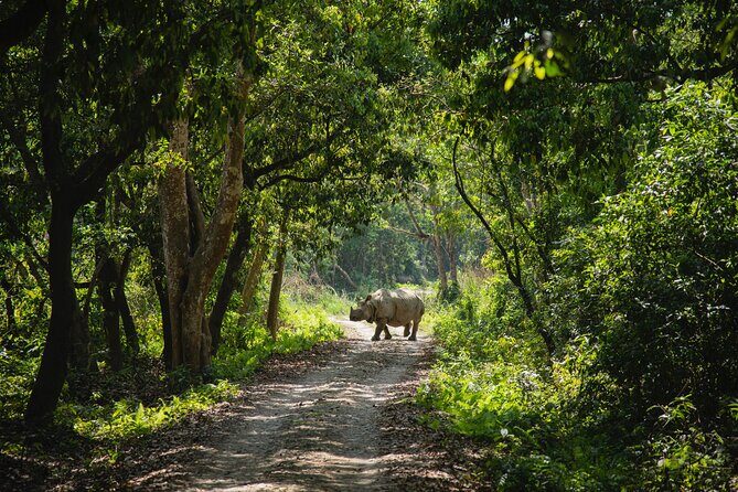 From Kathmandu: Private 3-Day Chitwan Safari Tour - Logistics and Practicalities