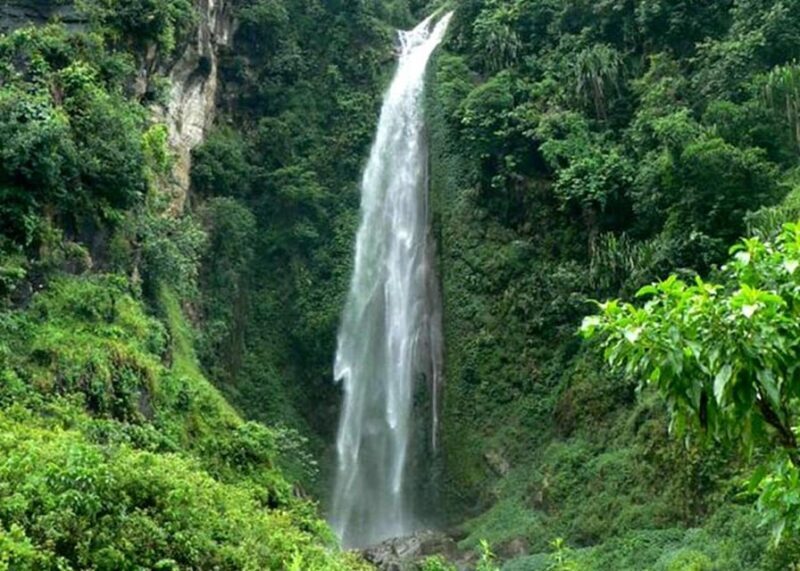 From Kathmandu : Shivapuri To Sundarijal Day hiking - An In-Depth Look at the Shivapuri to Sundarijal Trek