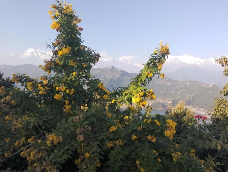 From Kathmandu: Wings & Waves of Pokhara 4-Day Scenic Tour - FAQ