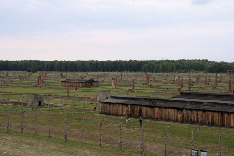 From Katowice: Auschwitz-Birkenau Skip-the-Line Guided Tour - What You Can Expect During the Tour