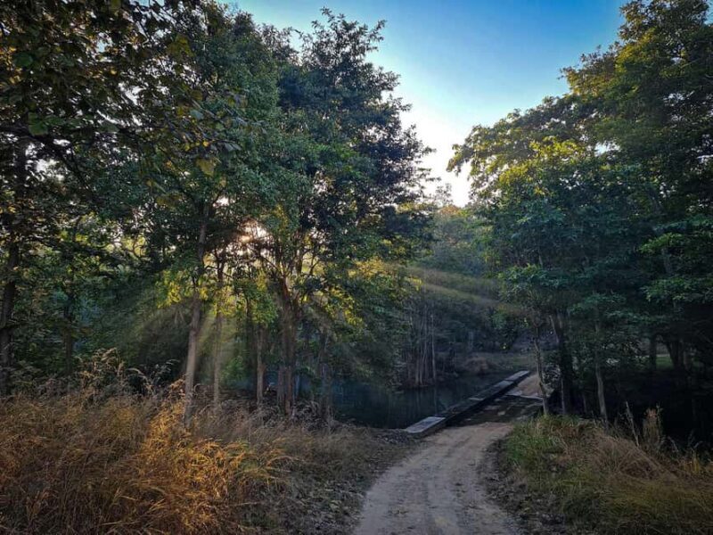 From Khajuraho: Panna Tiger Safari Tour for 1 Night 2 Days - Practicalities: Transportation, Timing & Costs