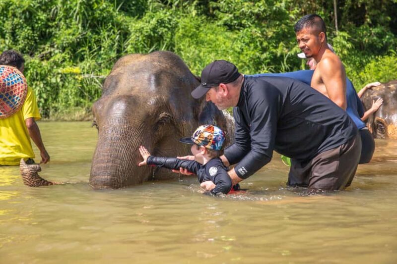 From Khao Lak: Day Trip to Khao Sok with Elephant Camp Visit - An Authentic Day in Khao Sok