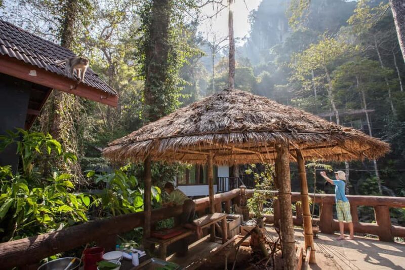 From Khao Lak: Day Trip to Khao Sok with Elephant Camp Visit - Final Thoughts